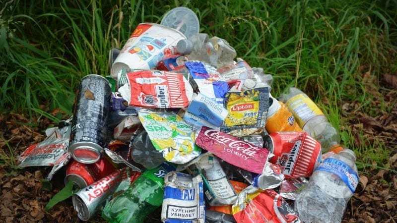 Litter Pickup Services | Garbage Cleanup & Removal | CityWide